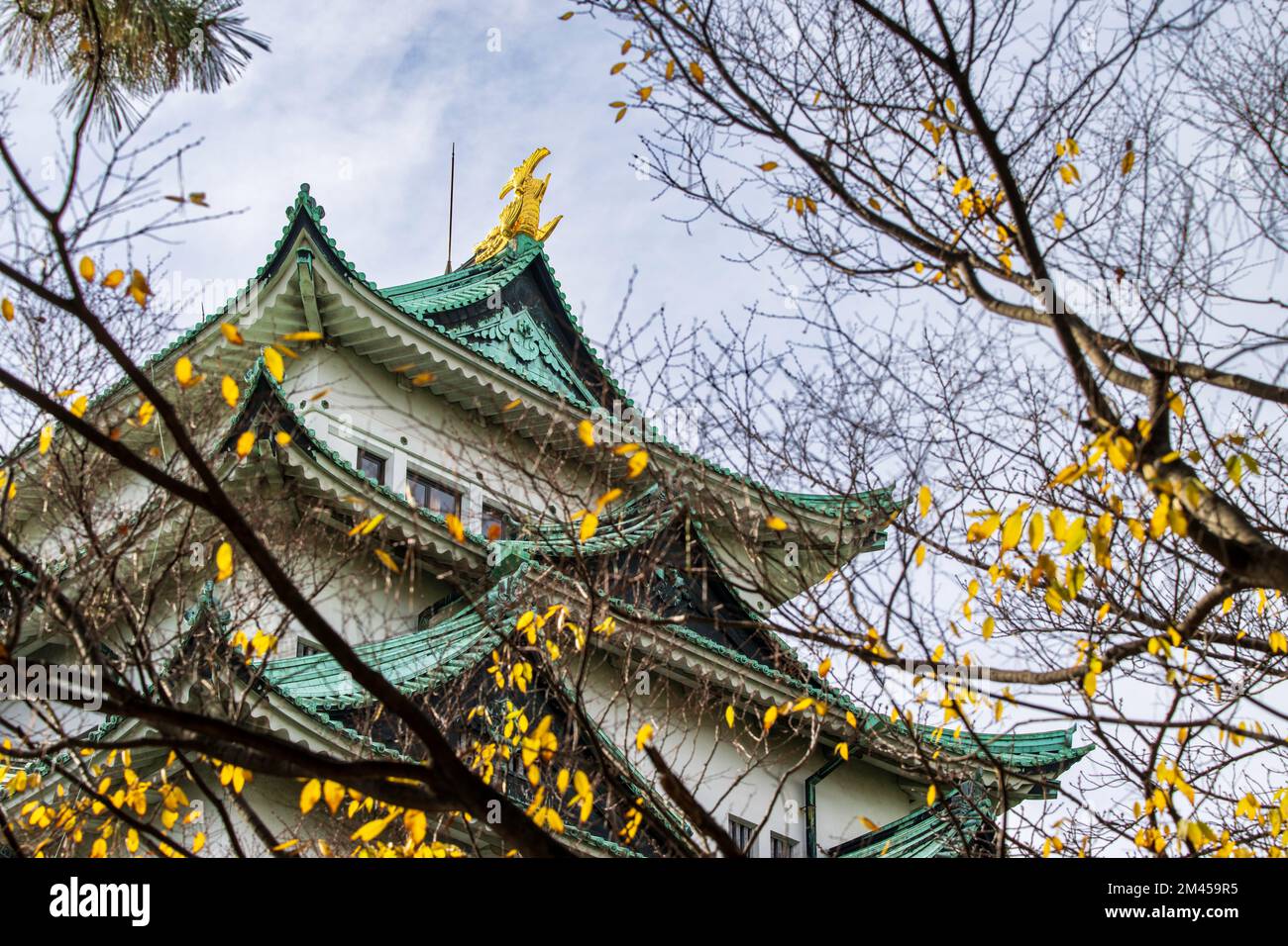 Nagoya Castle, Nagoya, Japan Stock Photo - Alamy