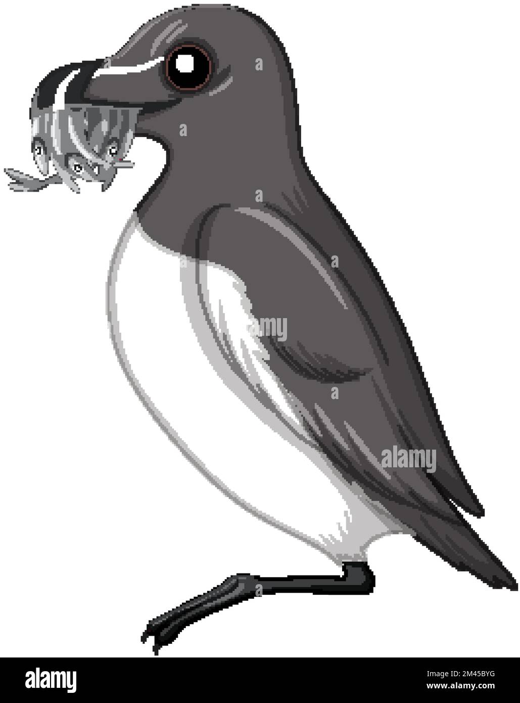 Razorbill bird holding fishes in its beak illustration Stock Vector ...