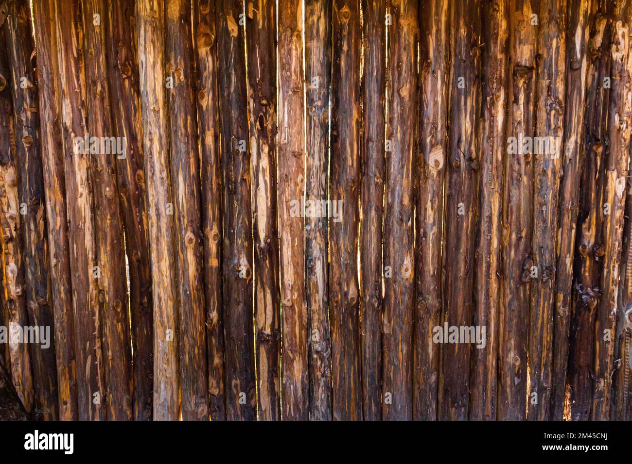 vertical texture of thin rough-hewn trees next to each other Stock ...
