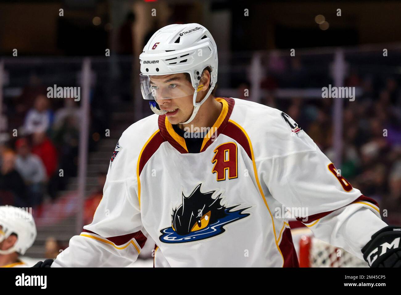 CLEVELAND, OH - DECEMBER 18: Cleveland Monsters defenceman Billy ...