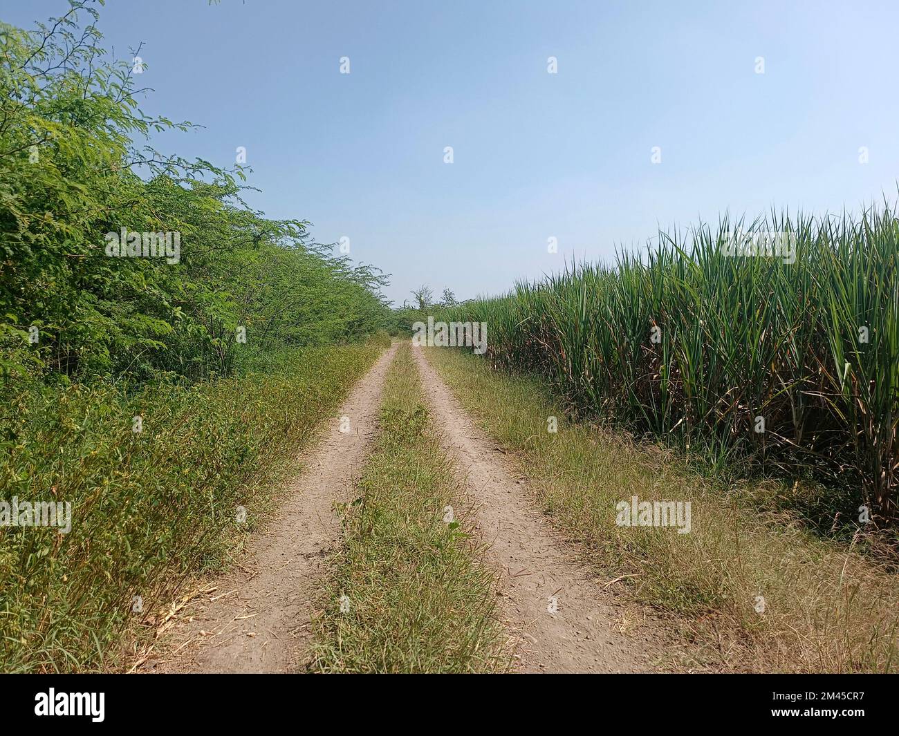 View of Indian Village Road - Mud Road connected to the countryside ...