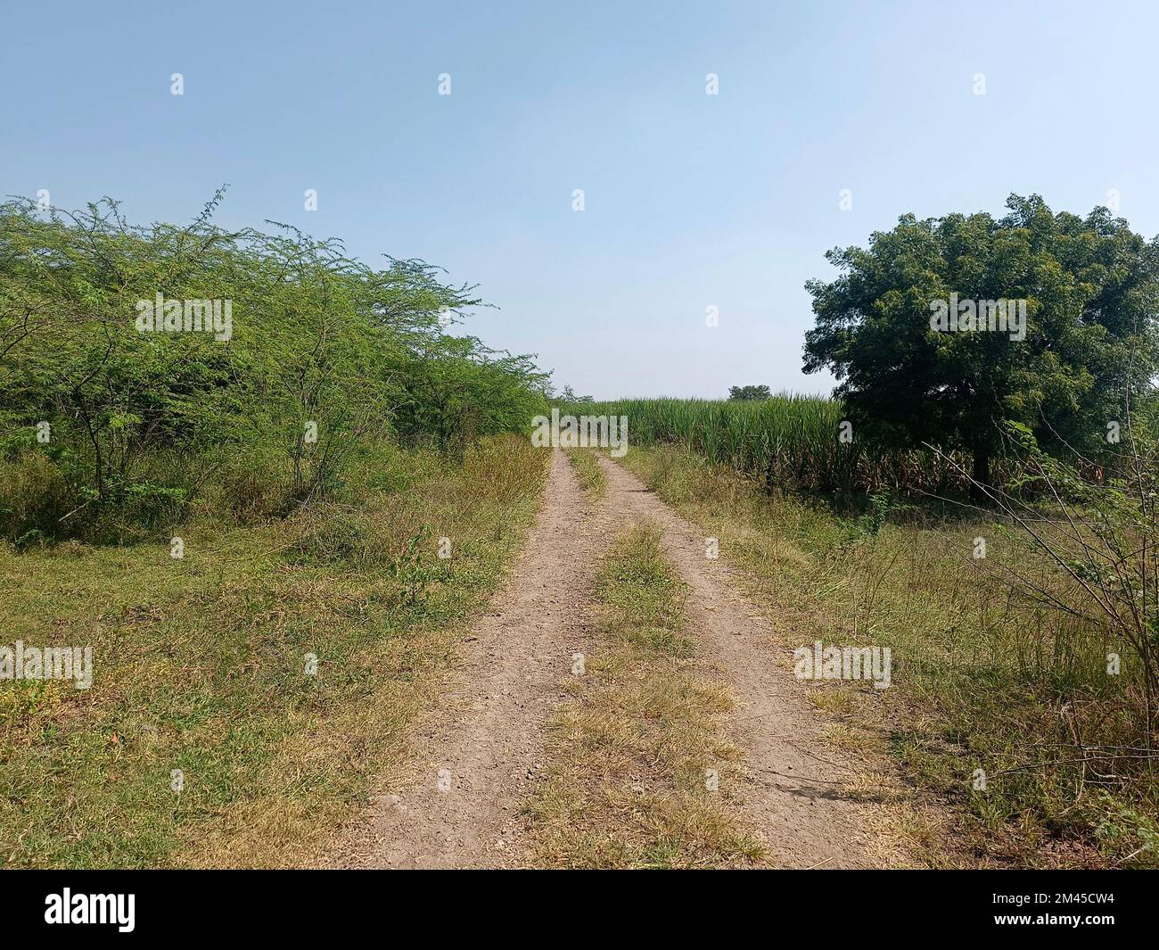 View of Indian Village Road - Mud Road connected to the countryside area, farmland in the both ...