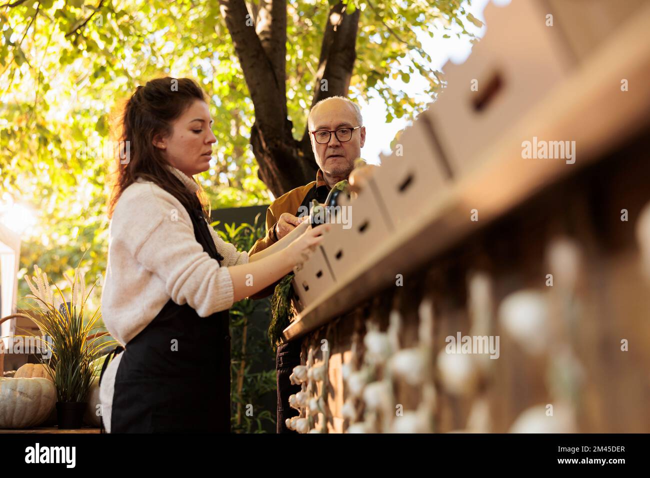 Team of farmers putting fresh farm fruits and vegetables on produce ...