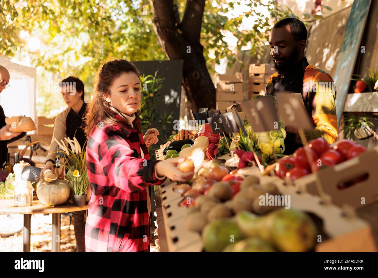 Young woman doing shopping at farmers market, female customer choosing ...