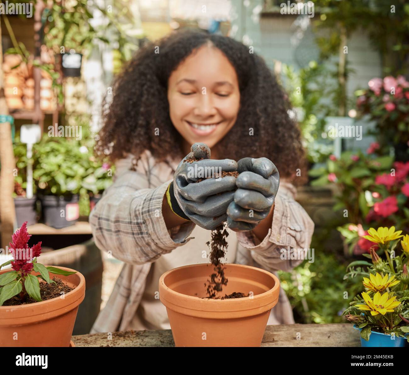 Black woman, garden and soil with plant and environment, happy gardener ...