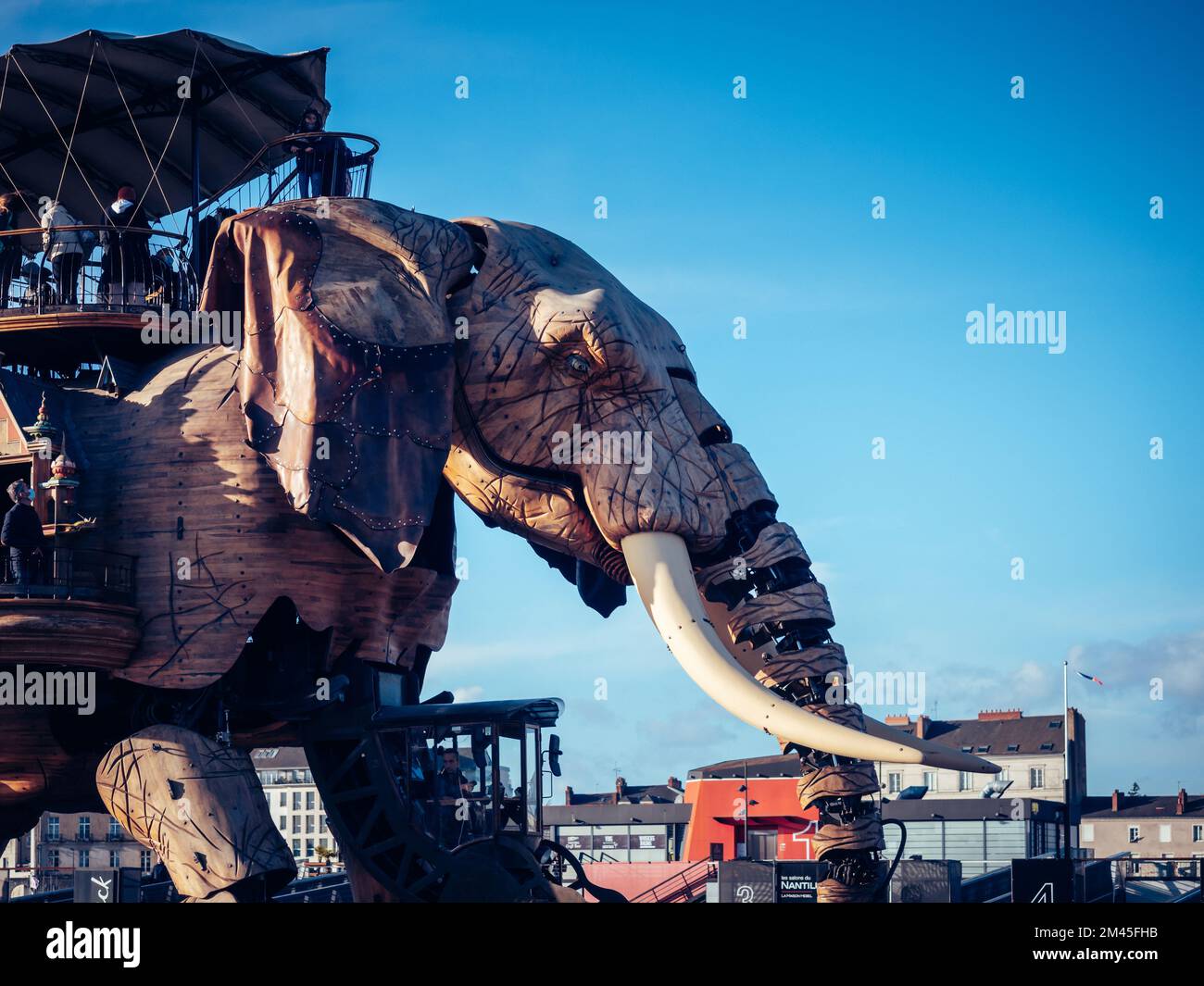 The people gathered at the Great Elephant in a park in Nantes, France ...