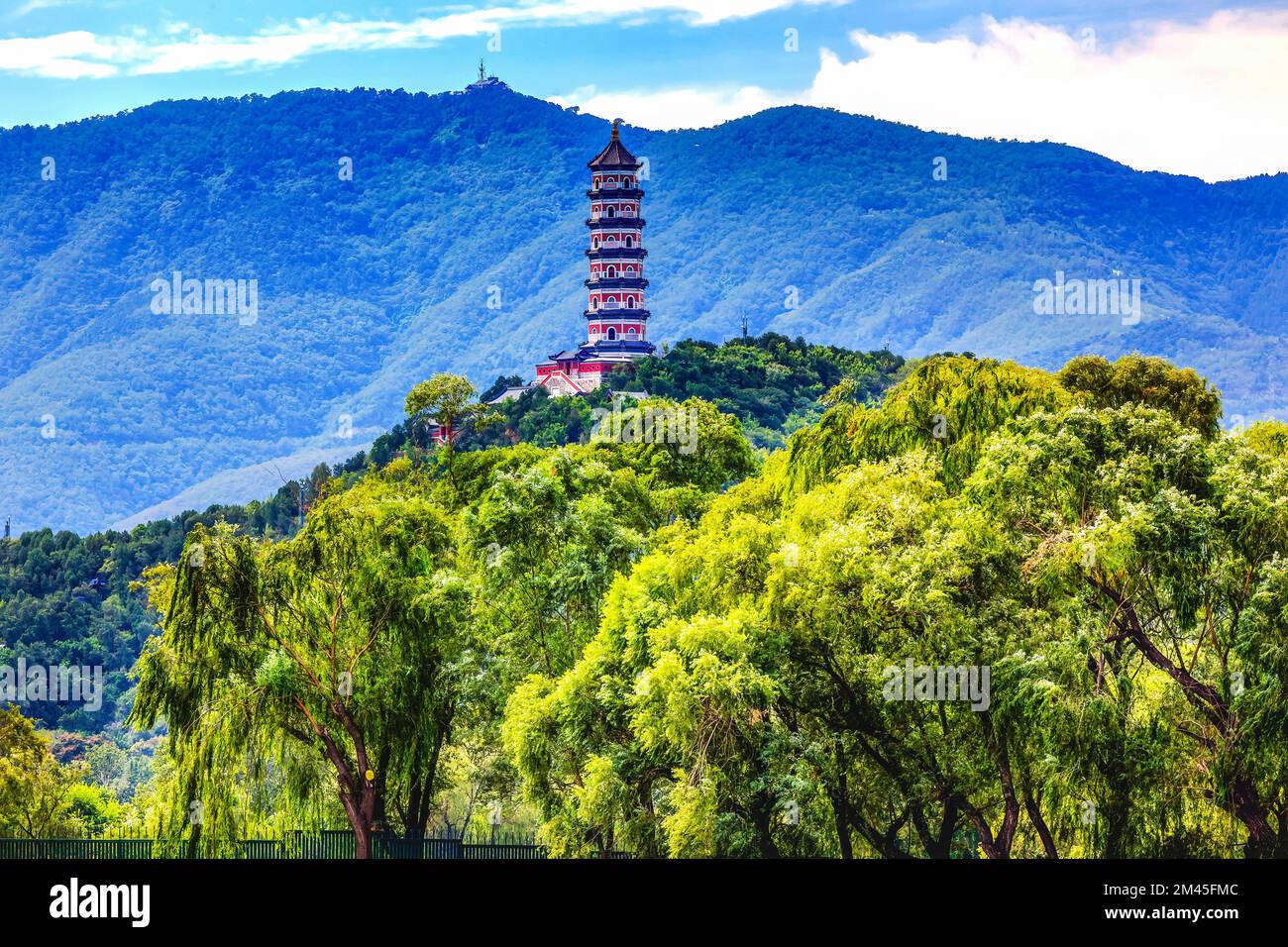 Yue Feng Pagonda Close Up Willow Trees Summer Palace Beijing China ...