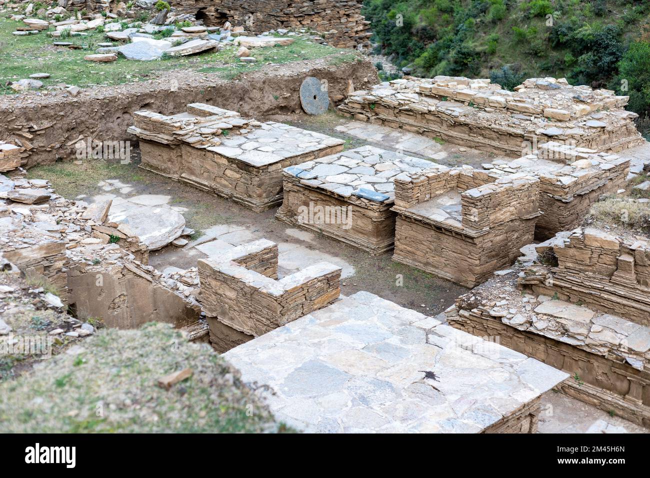 There are six domed cells square in shape, which occupy each side of ...