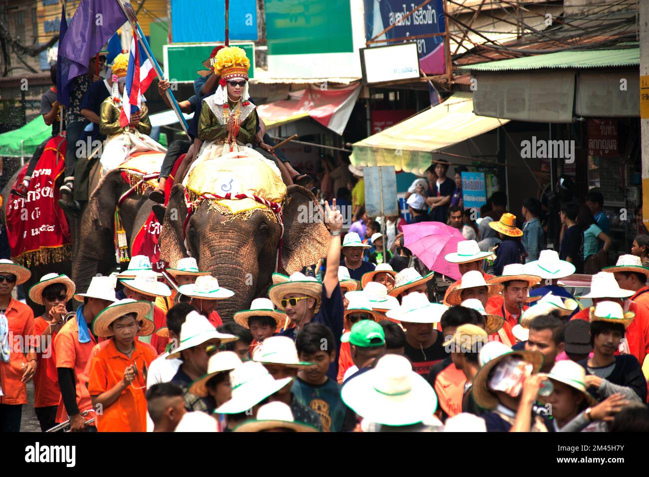 Elephant Ordination Ceremony at Ban Hat Siew Si Satchanalai District ...