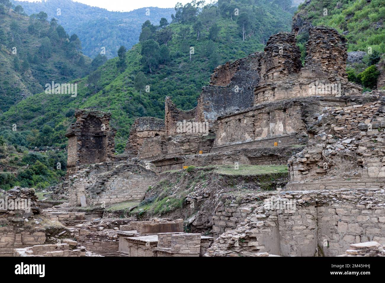 The ruins of the Tokar Dara archaeology site in the tehsil Barikot of ...