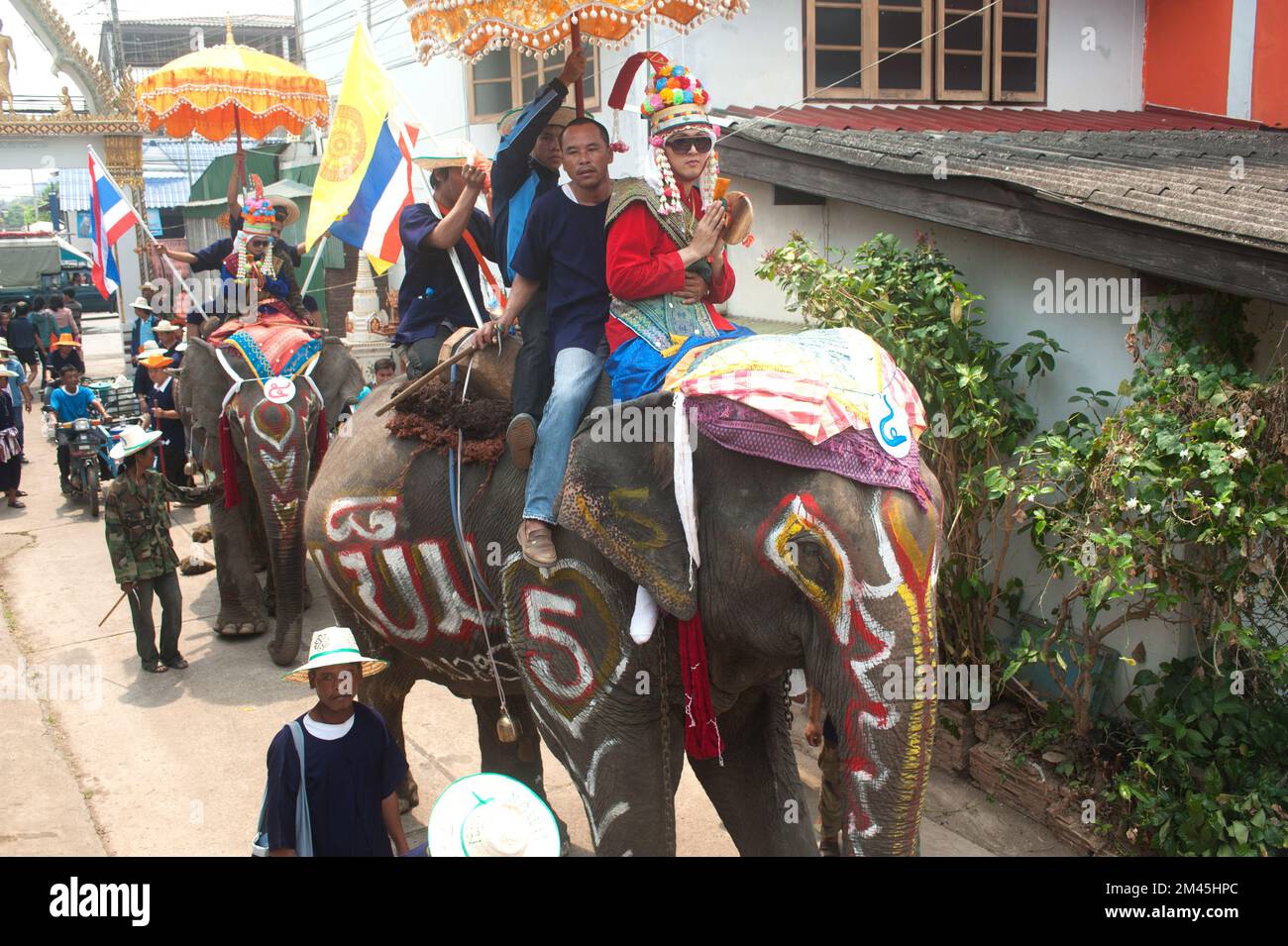 Elephant Ordination Ceremony at Ban Hat Siew Si Satchanalai District ...