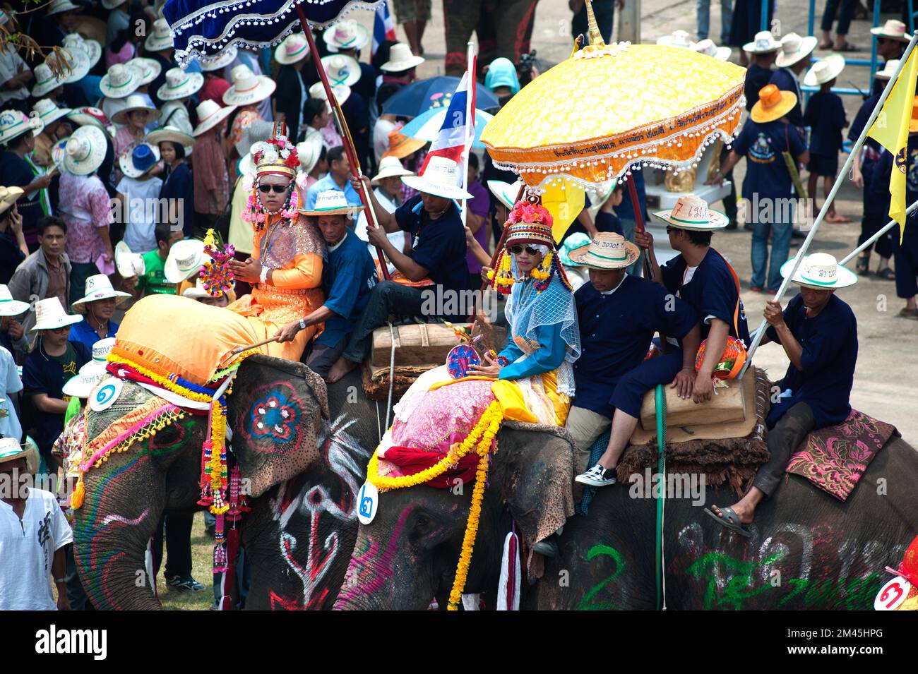 Elephant Ordination Ceremony at Ban Hat Siew Si Satchanalai District ...