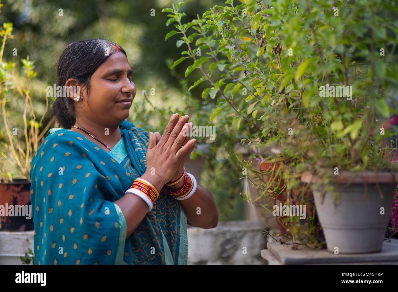 House maid in saree worshipping basil plant Stock Photo - Alamy