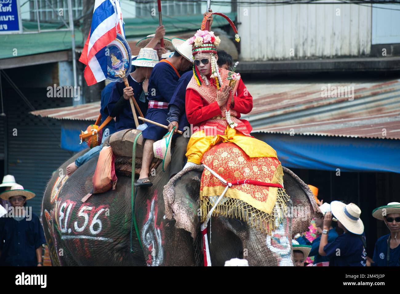 Elephant Ordination Ceremony at Ban Hat Siew Si Satchanalai District ...