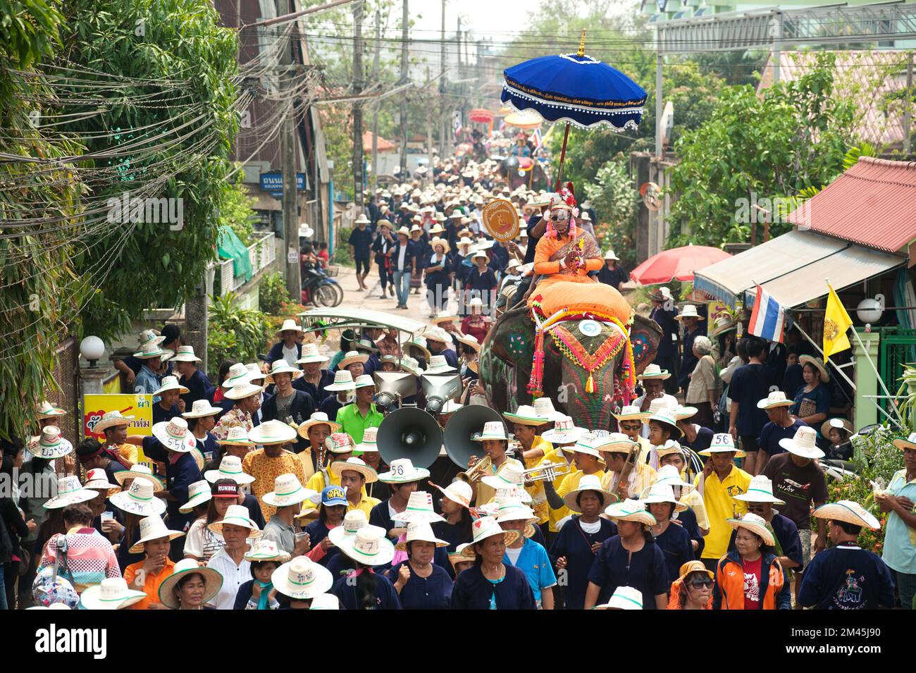 Elephant Ordination Ceremony at Ban Hat Siew Si Satchanalai District ...