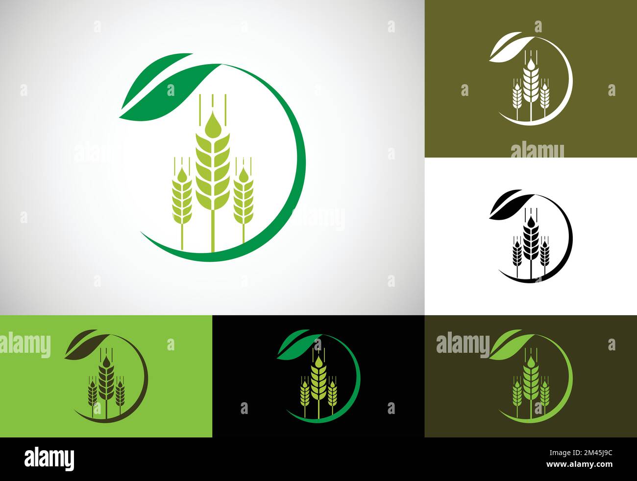 Wheat Ears Icon and Logo. For Identity Style of Natural Product Company ...