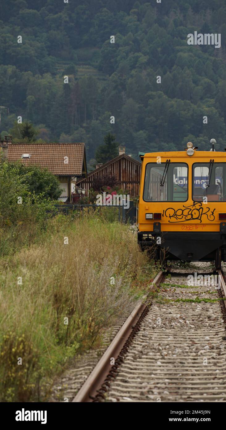 A vertical shot of a train on the railway tracks with green tree ...