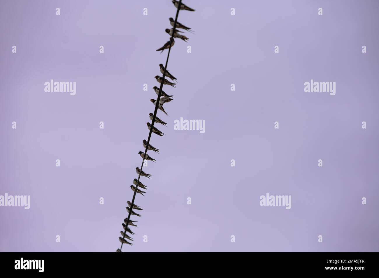 Cable height hi-res stock photography and images - Alamy