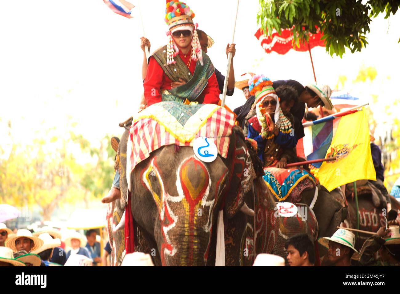 Elephant Ordination Ceremony at Ban Hat Siew Si Satchanalai District ...