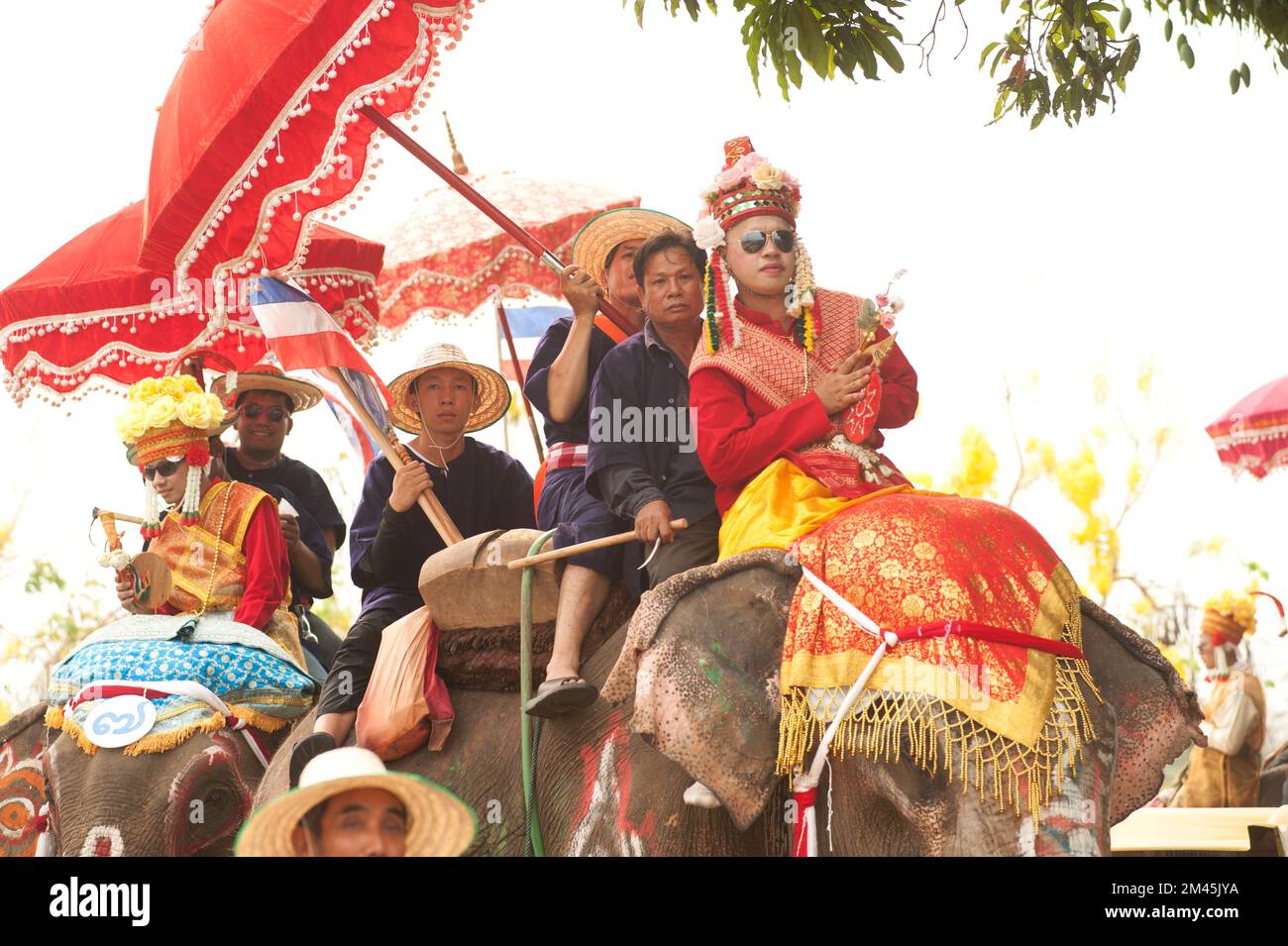 Elephant Ordination Ceremony at Ban Hat Siew Si Satchanalai District ...