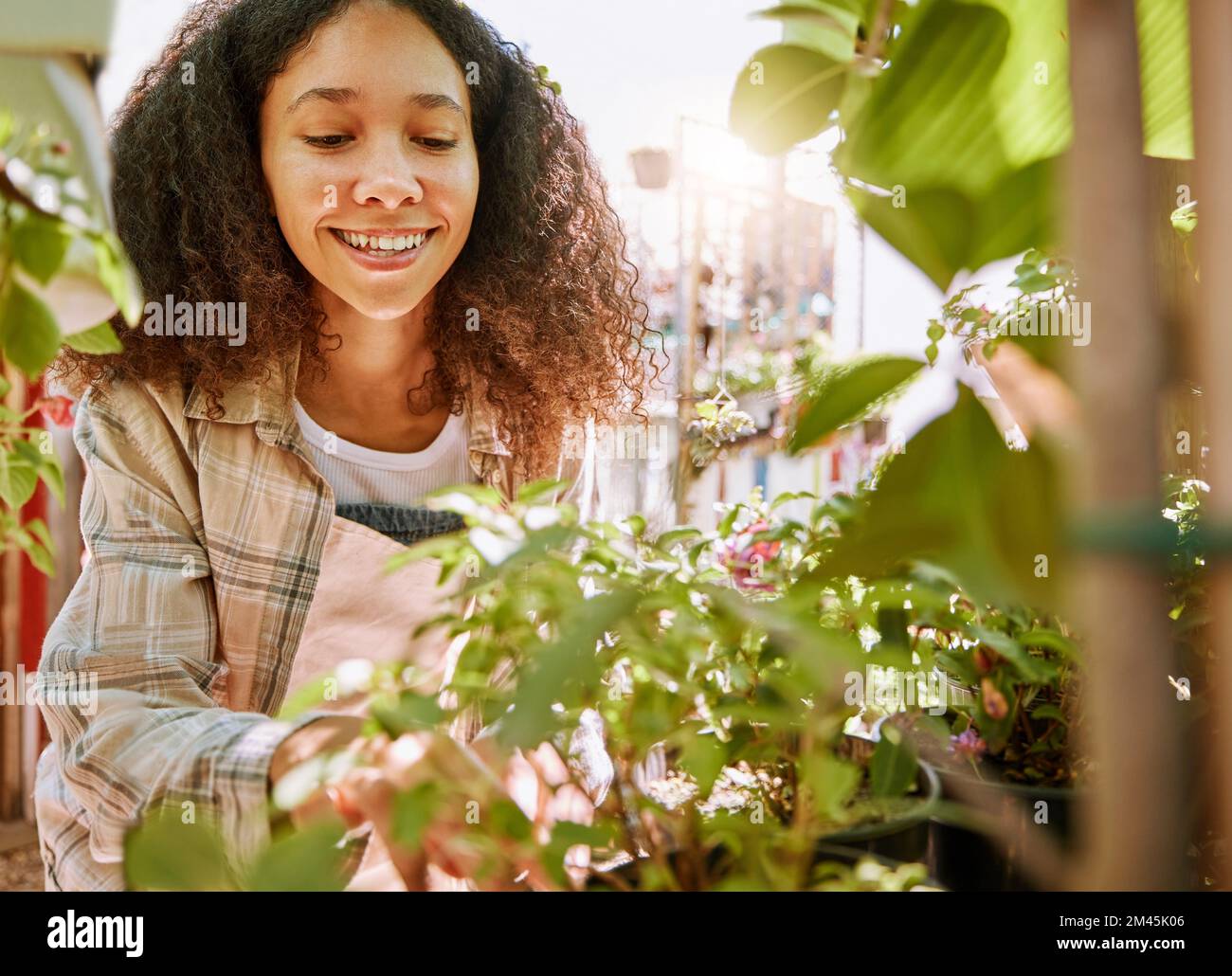 Happy woman flowers inspection hi-res stock photography and images - Alamy