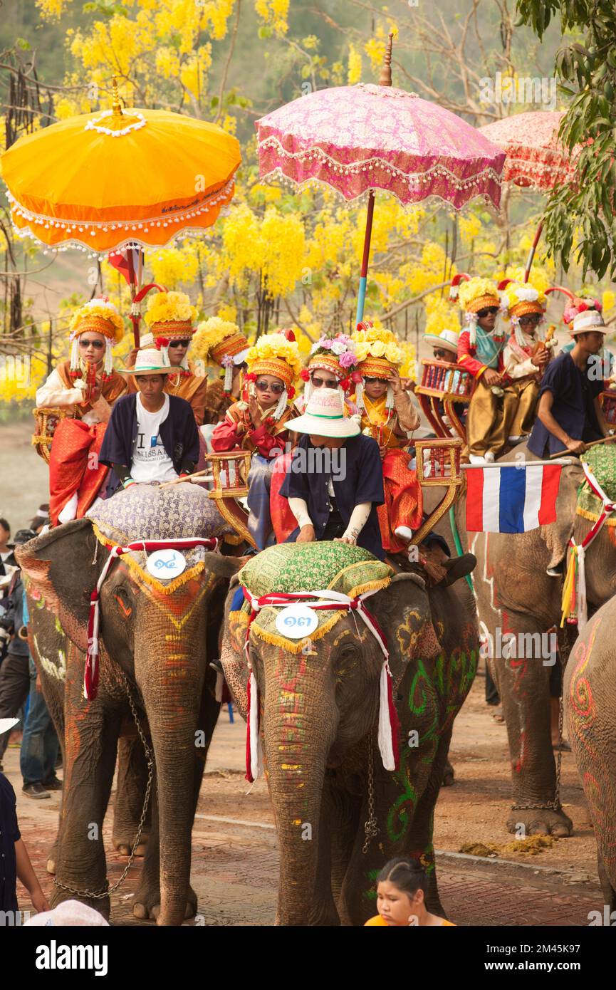 Elephant Ordination Ceremony at Ban Hat Siew Si Satchanalai District ...