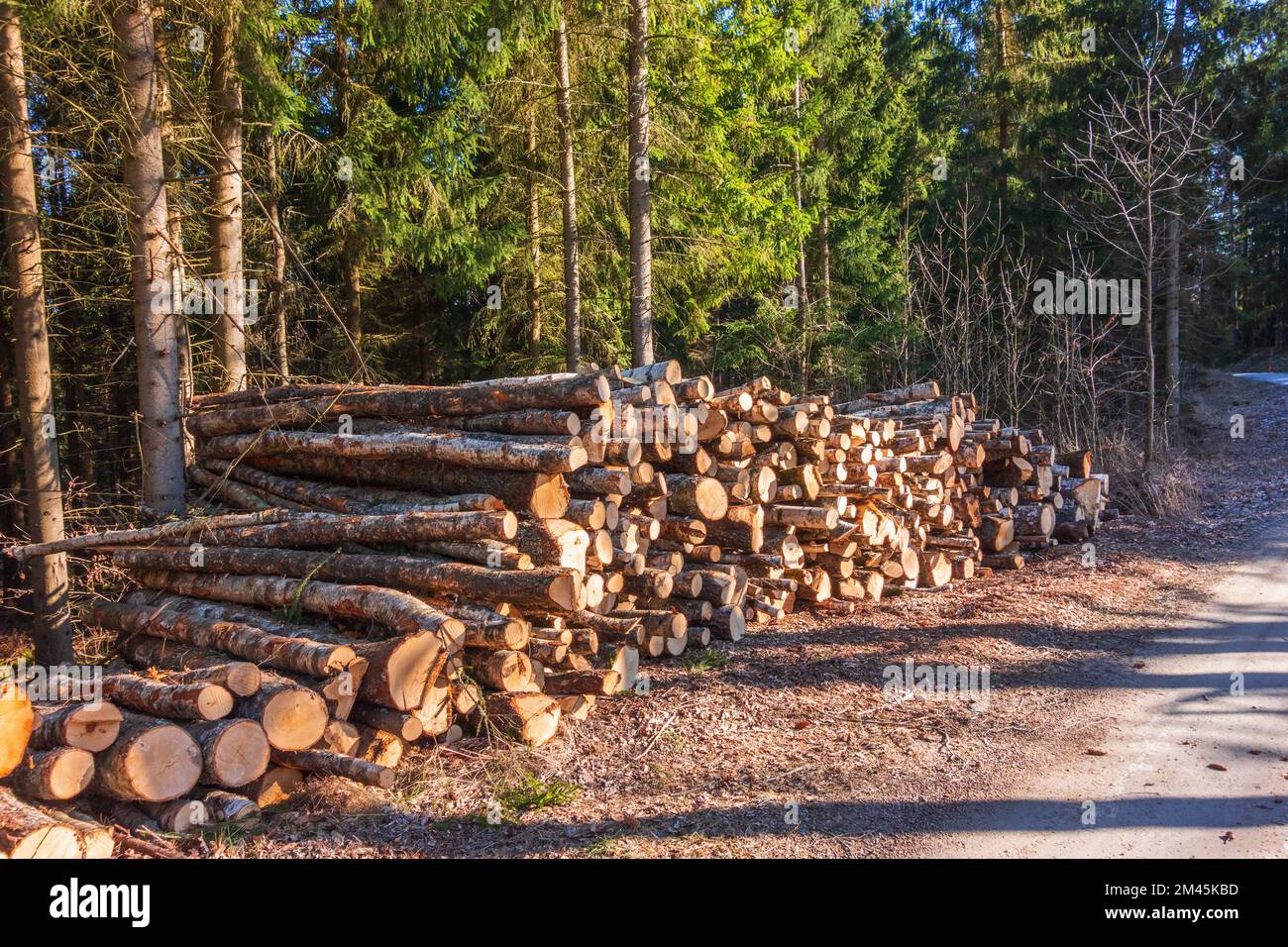 Timber stack located at the roadside Stock Photo - Alamy