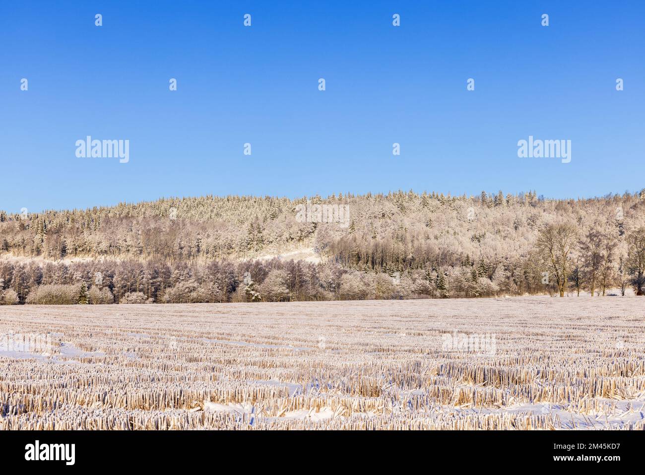 Stubble field snow in hi-res stock photography and images - Alamy