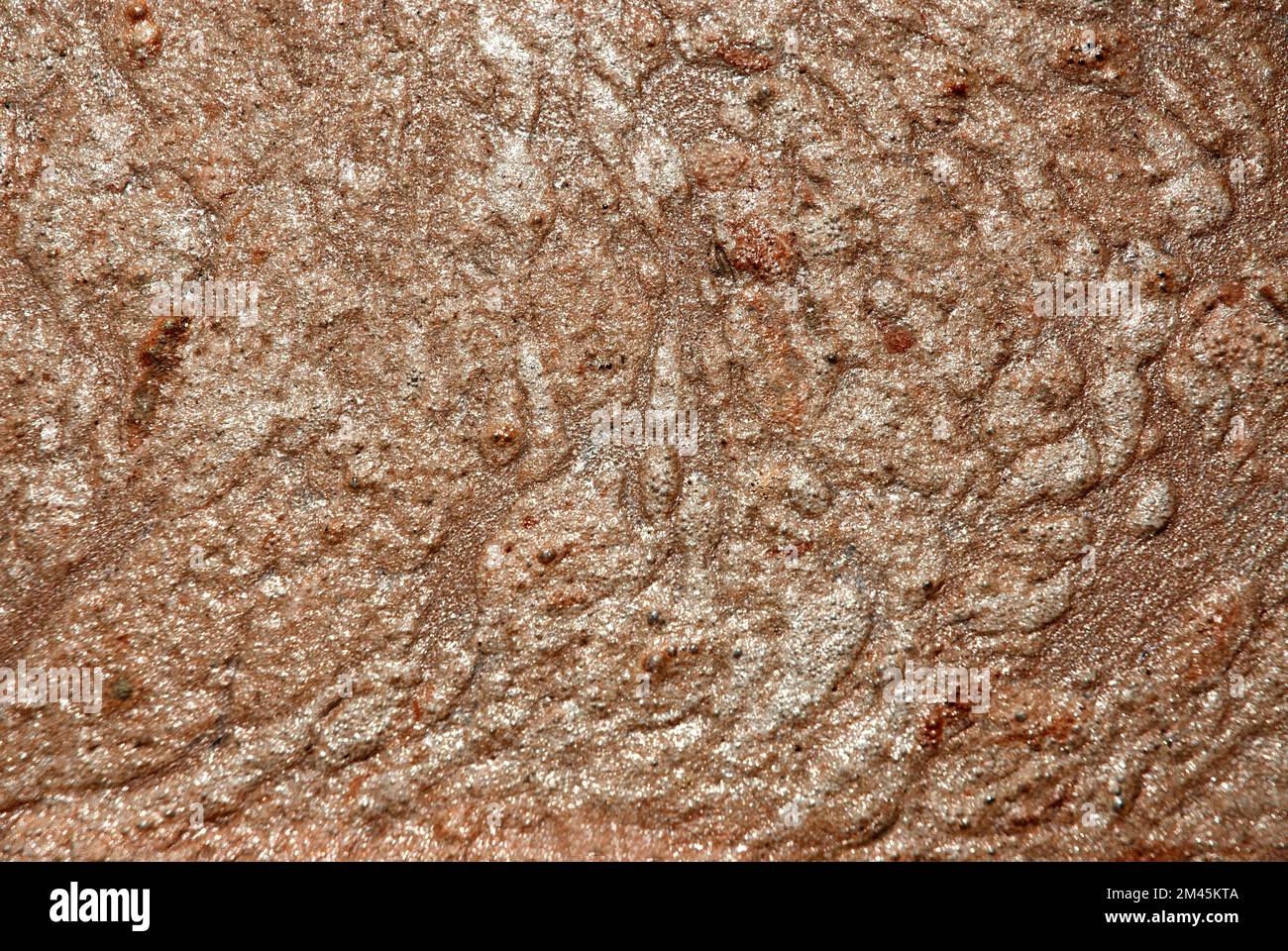 The texture of the water salt marshes. Photographed in nature Stock ...