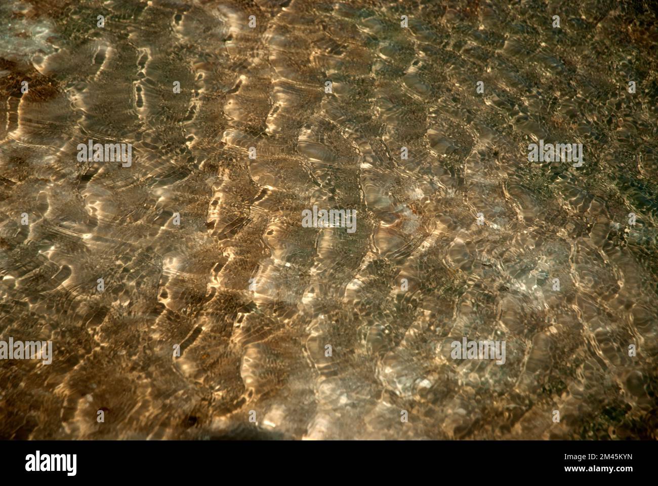 The texture of the water salt marshes. Photographed in nature Stock ...