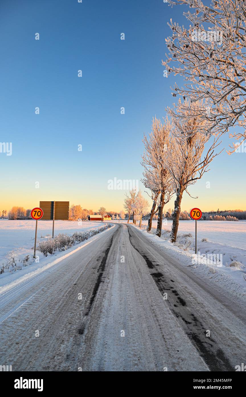 icy road through fields covered in snow Stock Photo - Alamy