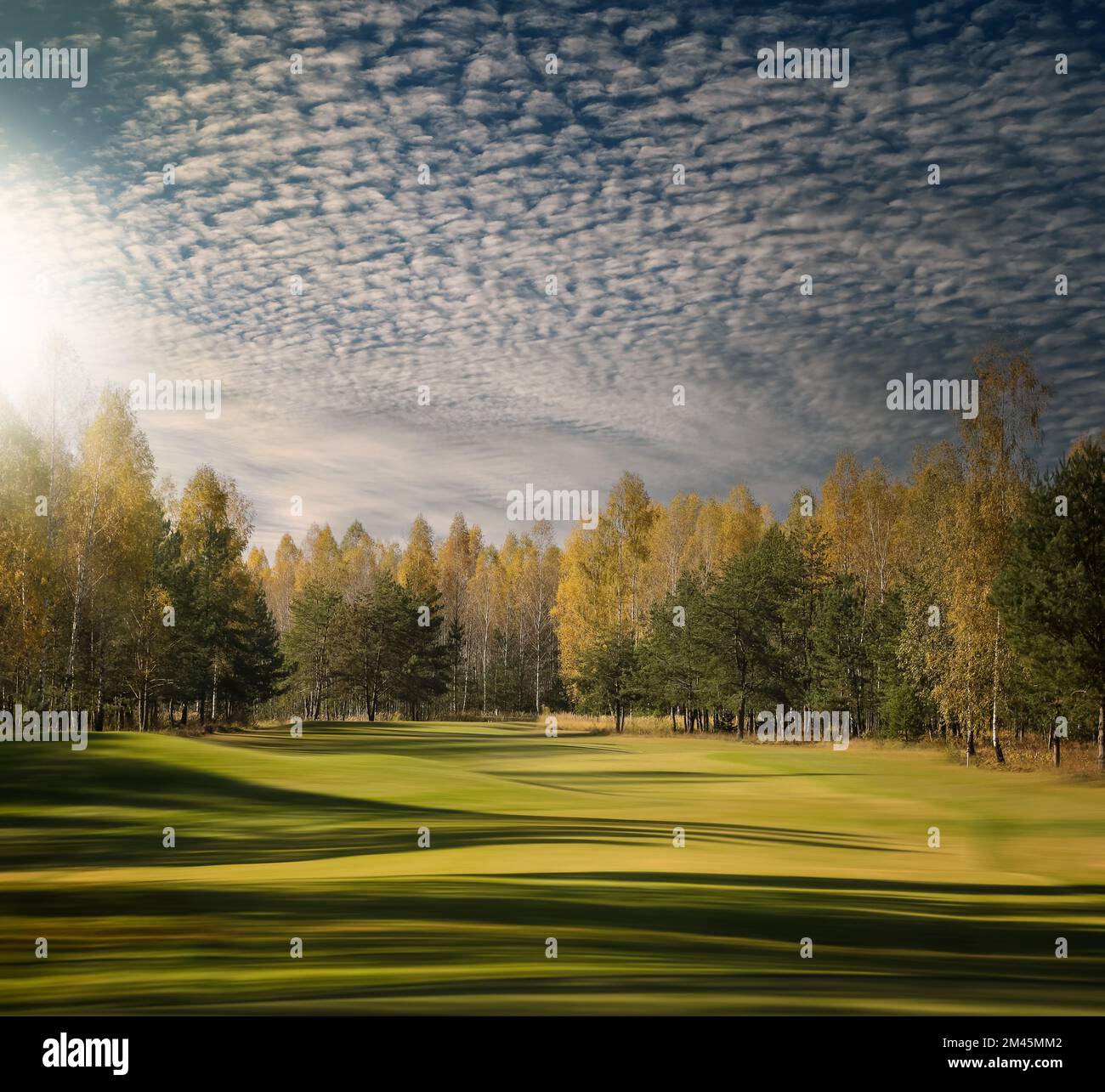 Golf course, landscape, green grass on the background of the forest and ...