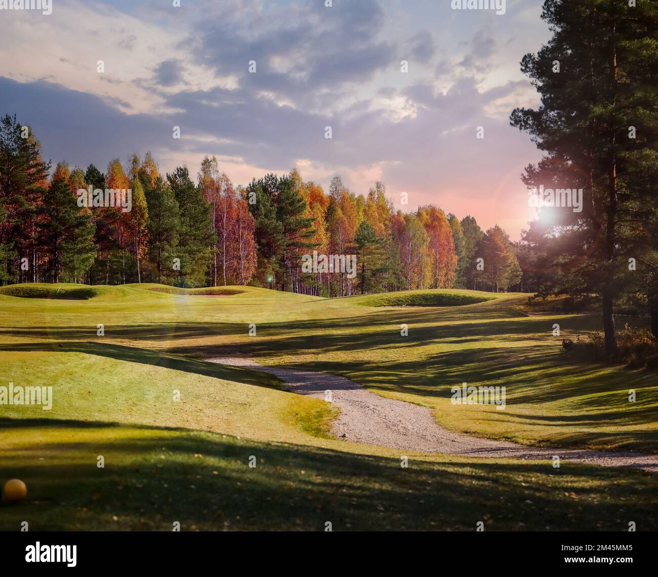 Golf course, landscape, green grass on the background of the forest and ...