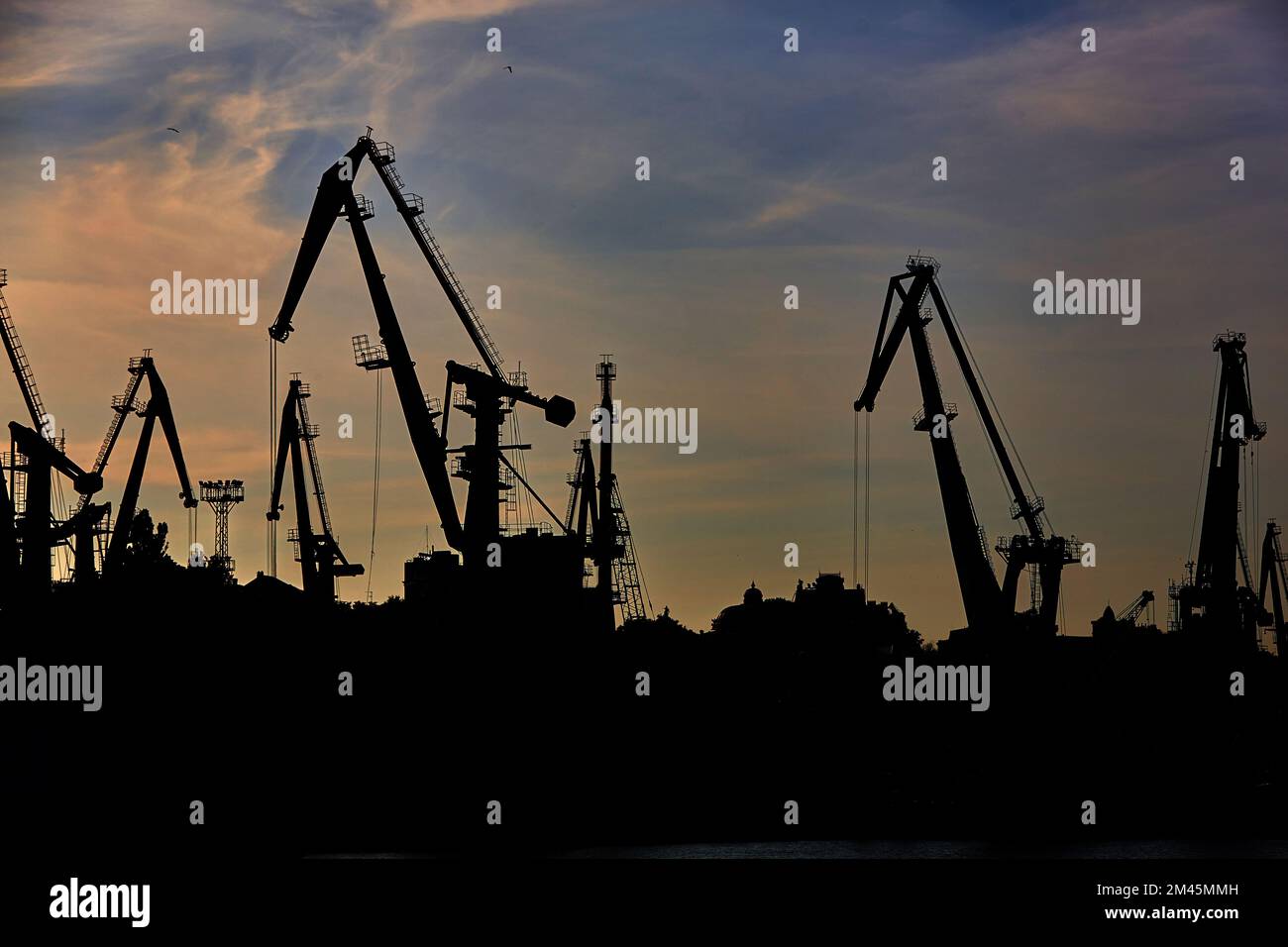 Harbor cranes in backlight. Port cranes at industrial sea port Stock ...