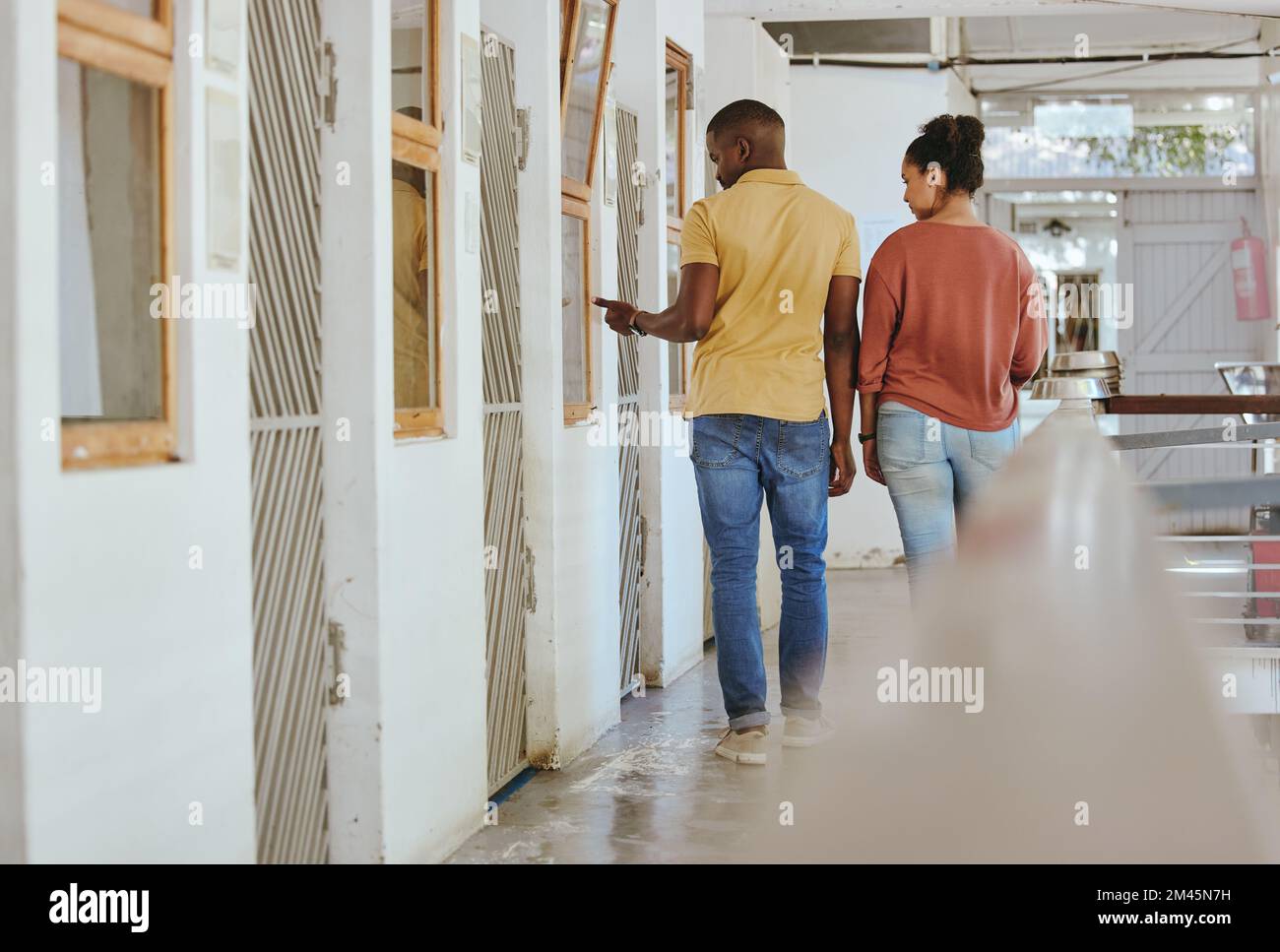 Animal shelter, adoption and charity with a black couple together in a ...