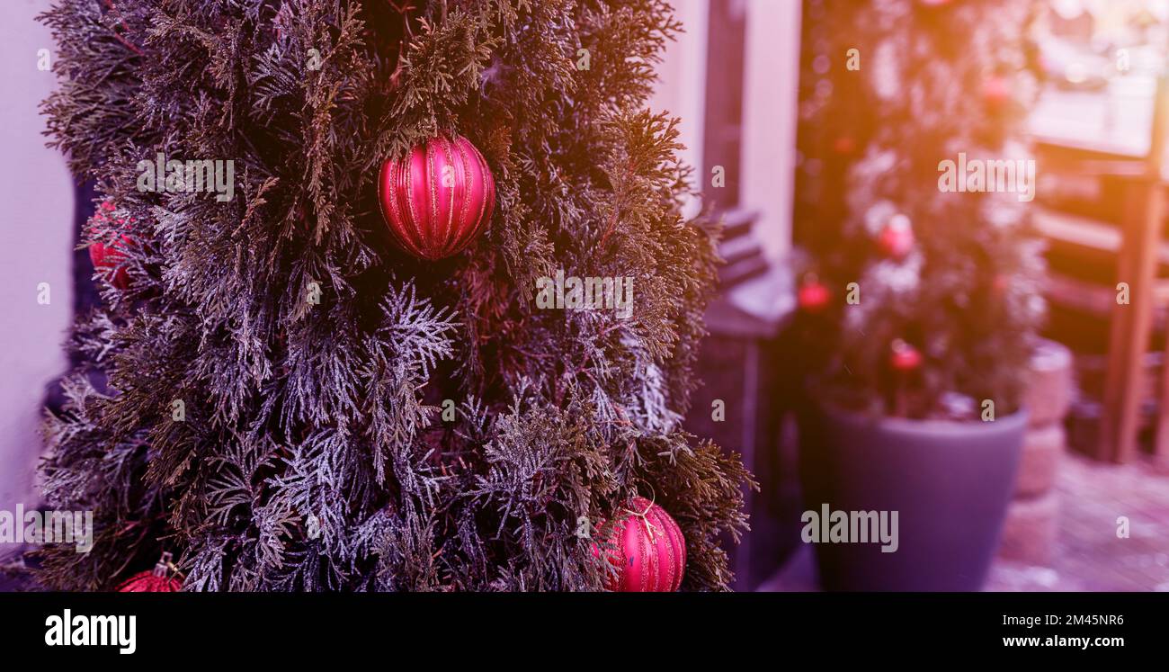 Festively Decorated Outdoor Christmas tree Stock Photo - Alamy