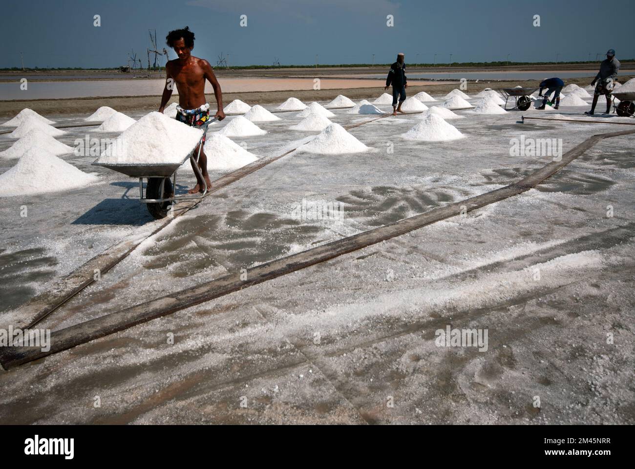 Workers are working at a salt farm in Thailand Stock Photo - Alamy