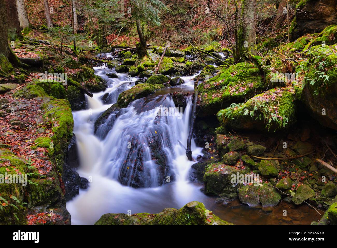 A beautiful waterfall in Ravenna Gorge, Breitnau, Black Forest, Germany ...