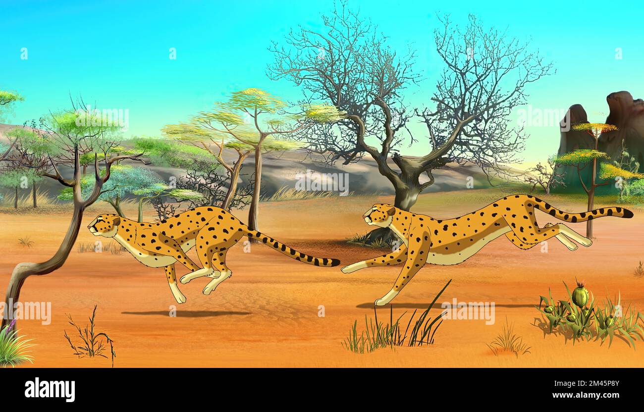Two Cheetahs hunting in the African savannah. Digital painting cartoon ...