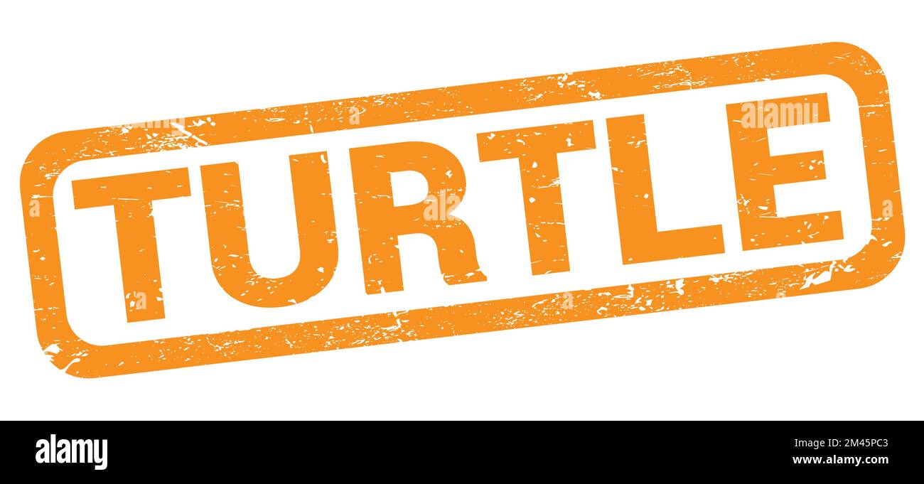 TURTLE text written on orange rectangle stamp sign Stock Photo - Alamy