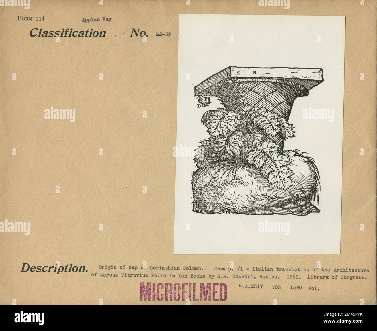 Origin of Cap of Corinthian Column. Original caption: Origin of cap of ...