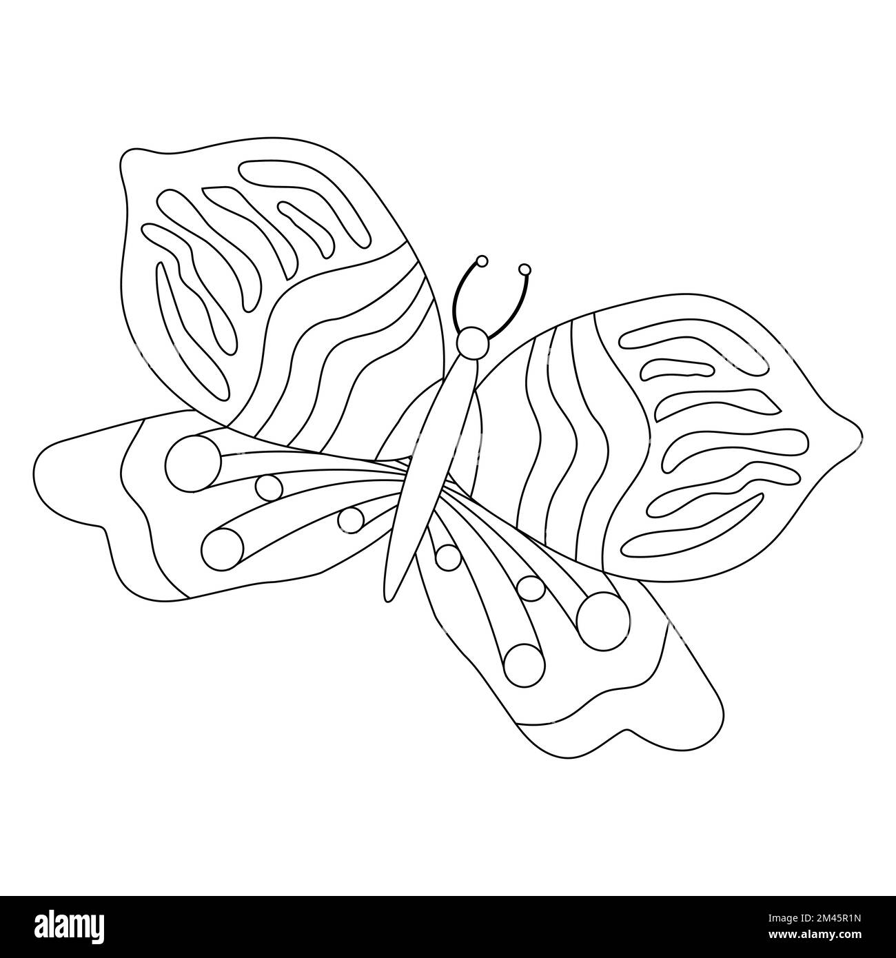 Hand drawn butterfly outline illustration Stock Vector Image & Art - Alamy
