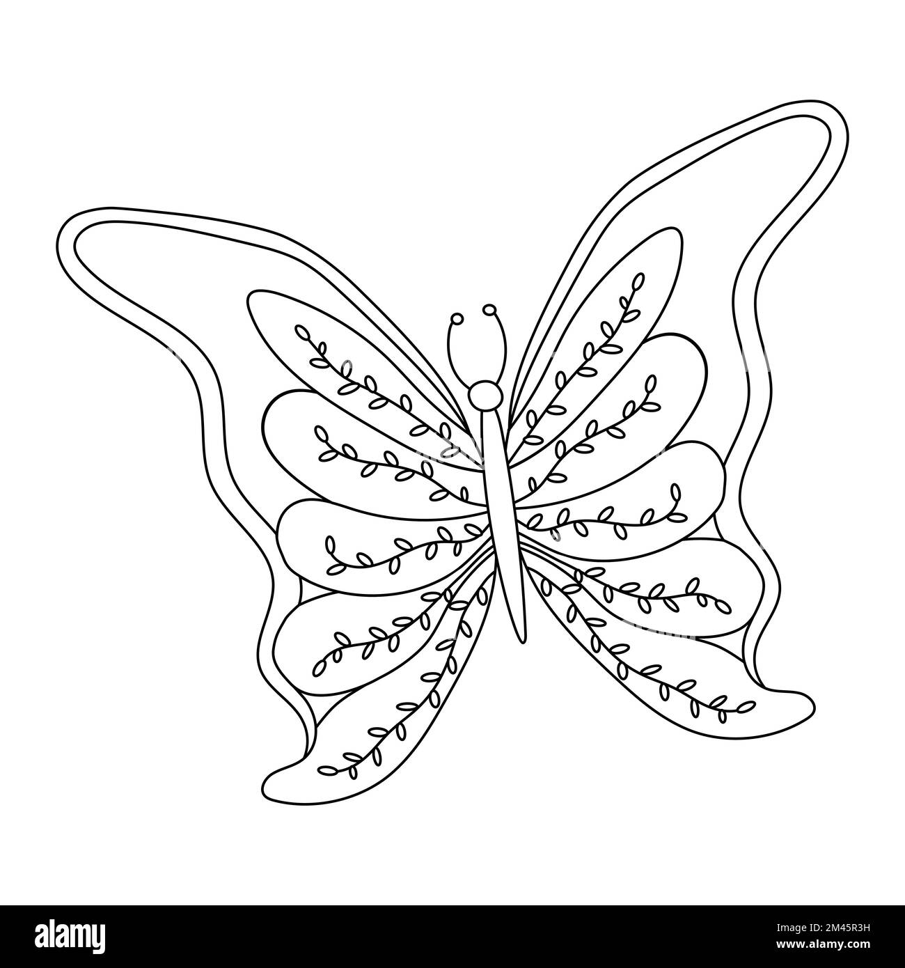 Hand drawn butterfly outline illustration Stock Vector Image & Art - Alamy