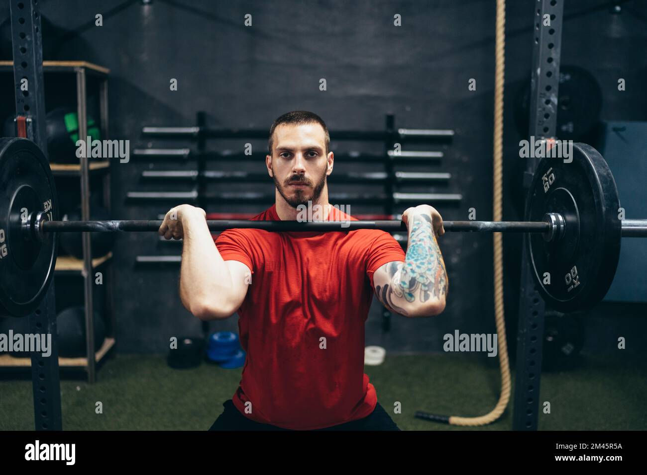 Portrait of a strong man doing a squat with weights in a gym Stock ...