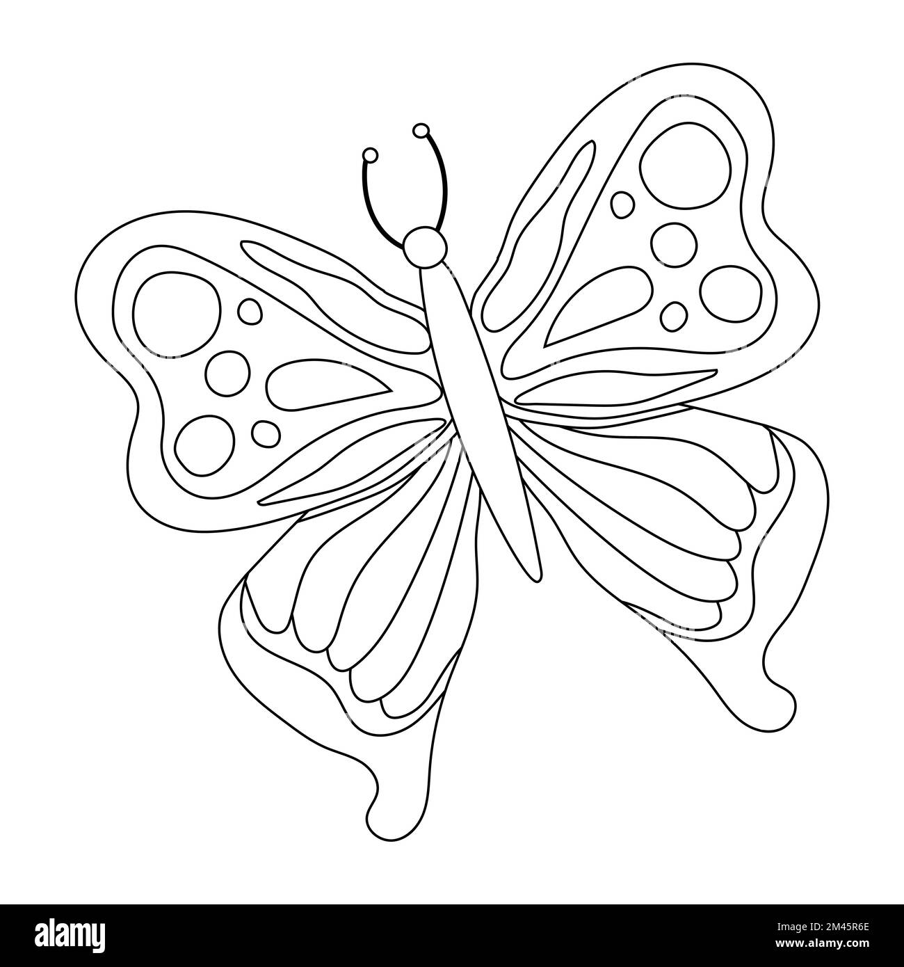 Hand drawn butterfly outline illustration Stock Vector Image & Art - Alamy