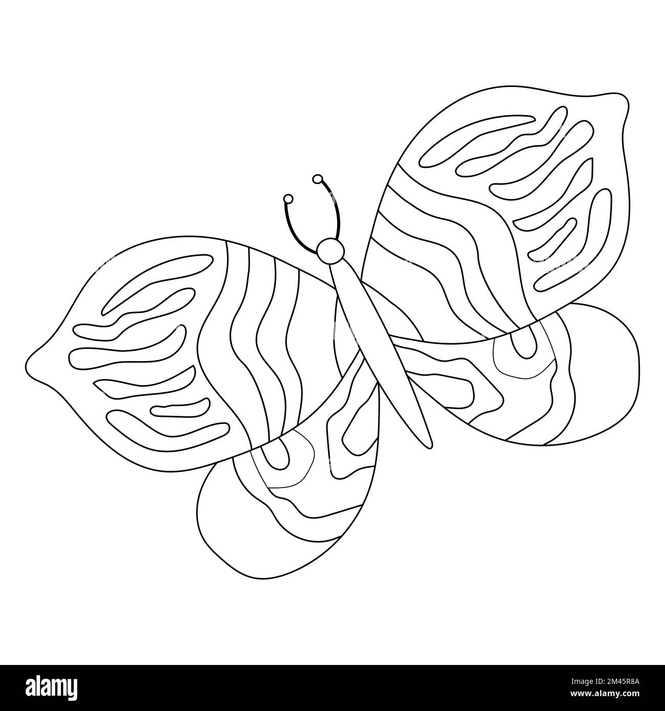 Hand drawn butterfly outline illustration Stock Vector Image & Art - Alamy