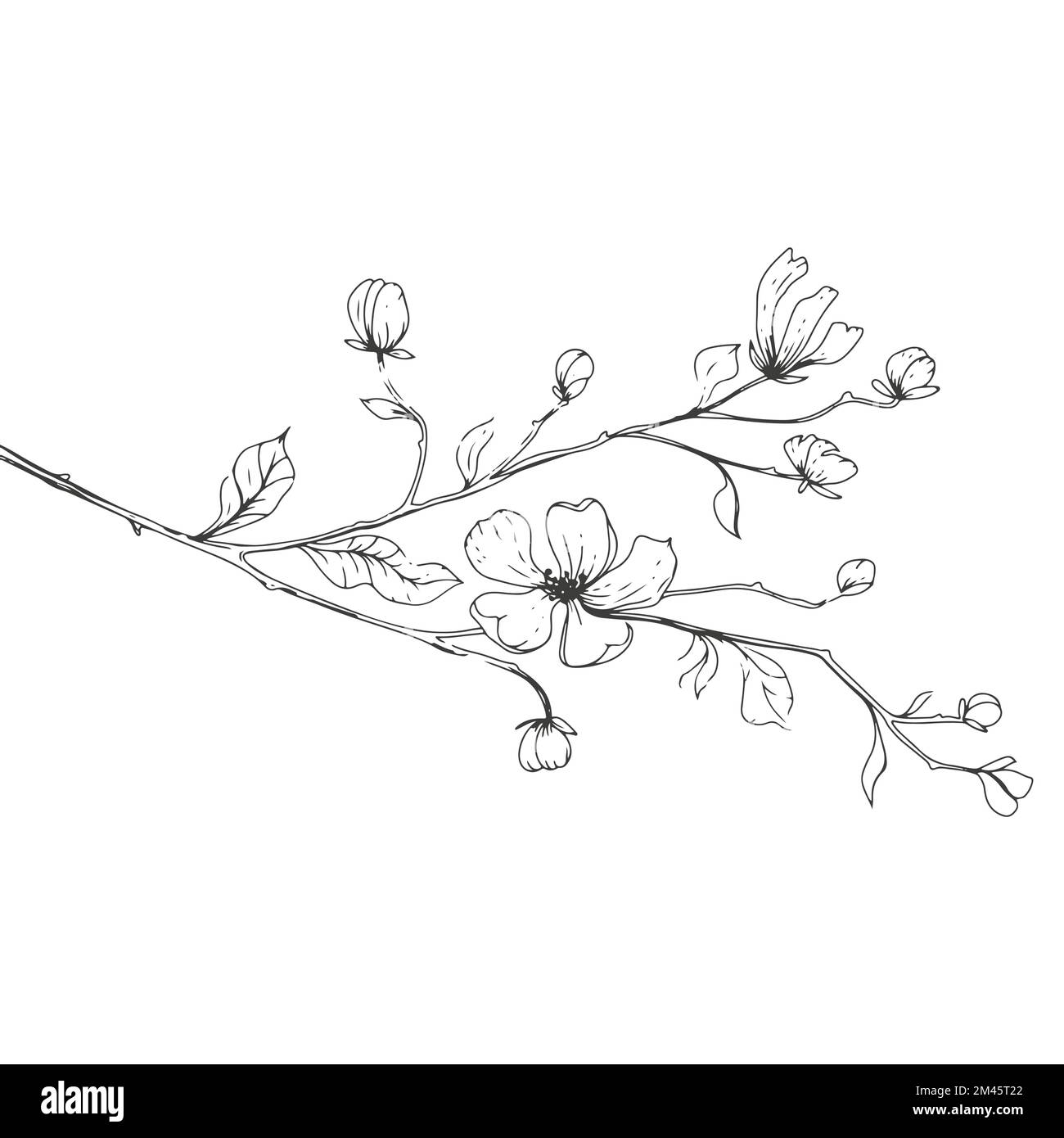 graceful branch with flowers in the style of hand drawing Stock Vector ...