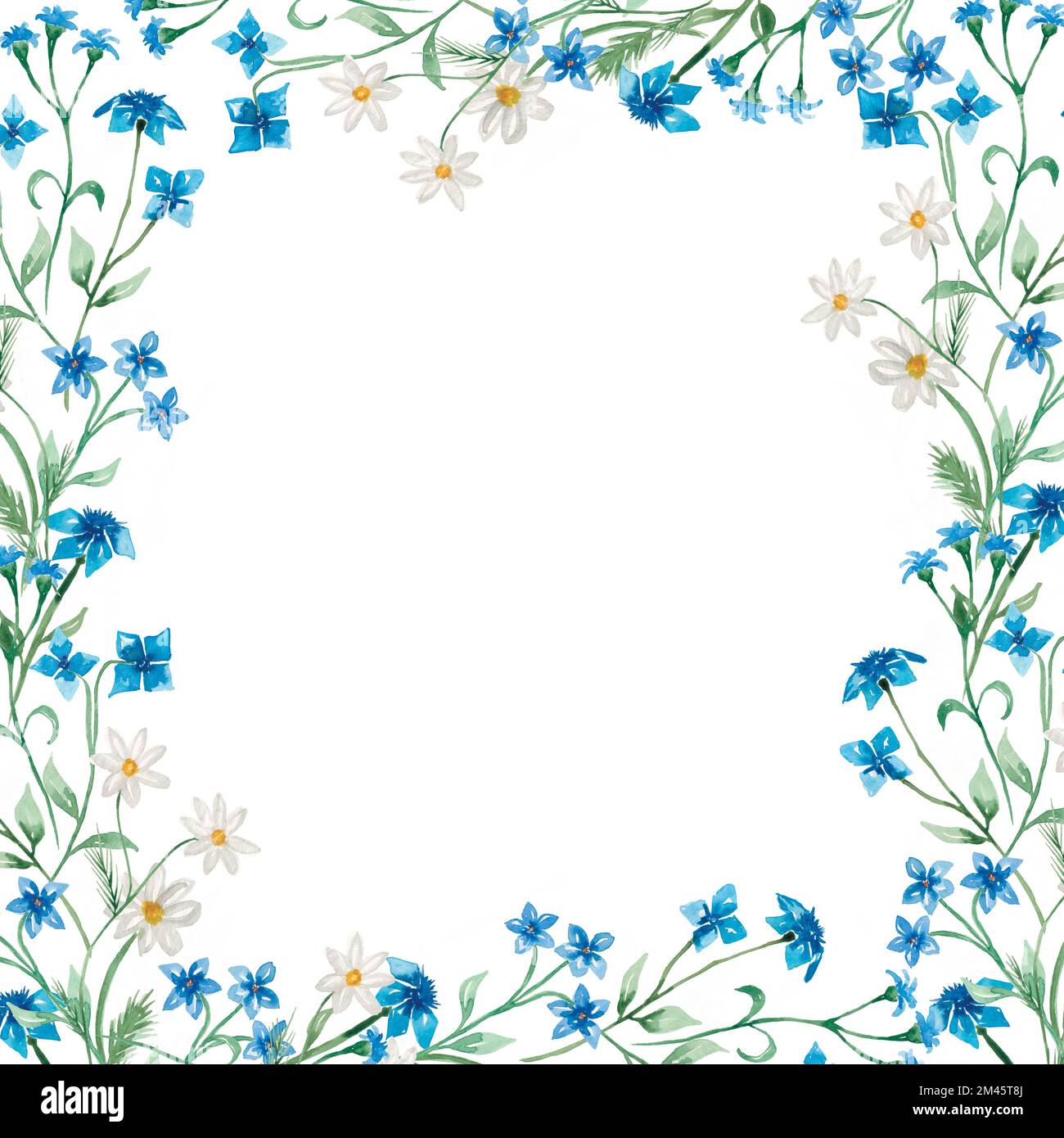 Hand drawn watercolor spring and summer floral wreath illustration ...