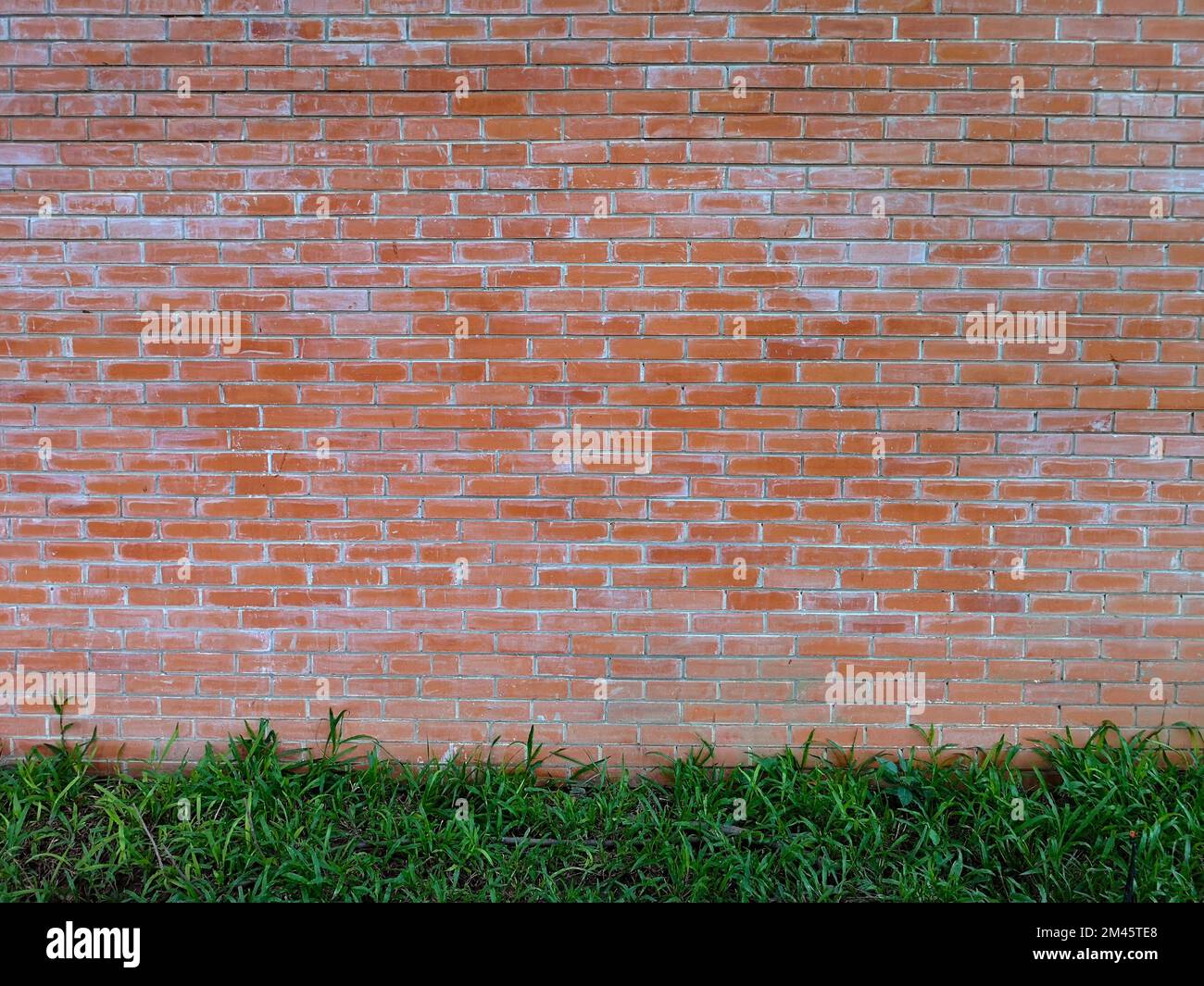 Red brick wall background with green grass Stock Photo - Alamy