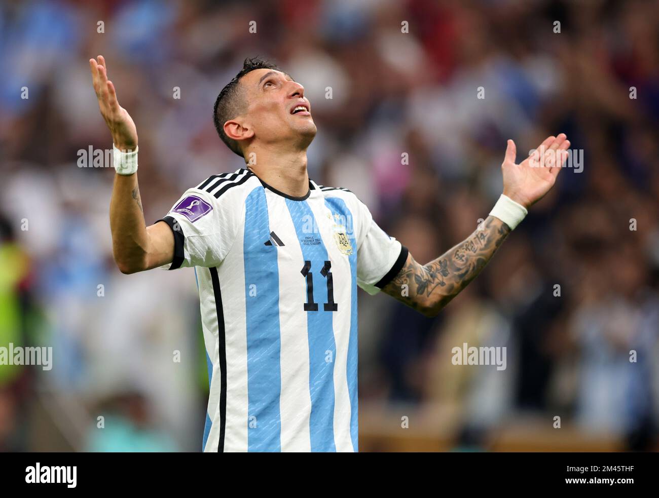World cup trophy di maria hi-res stock photography and images - Alamy